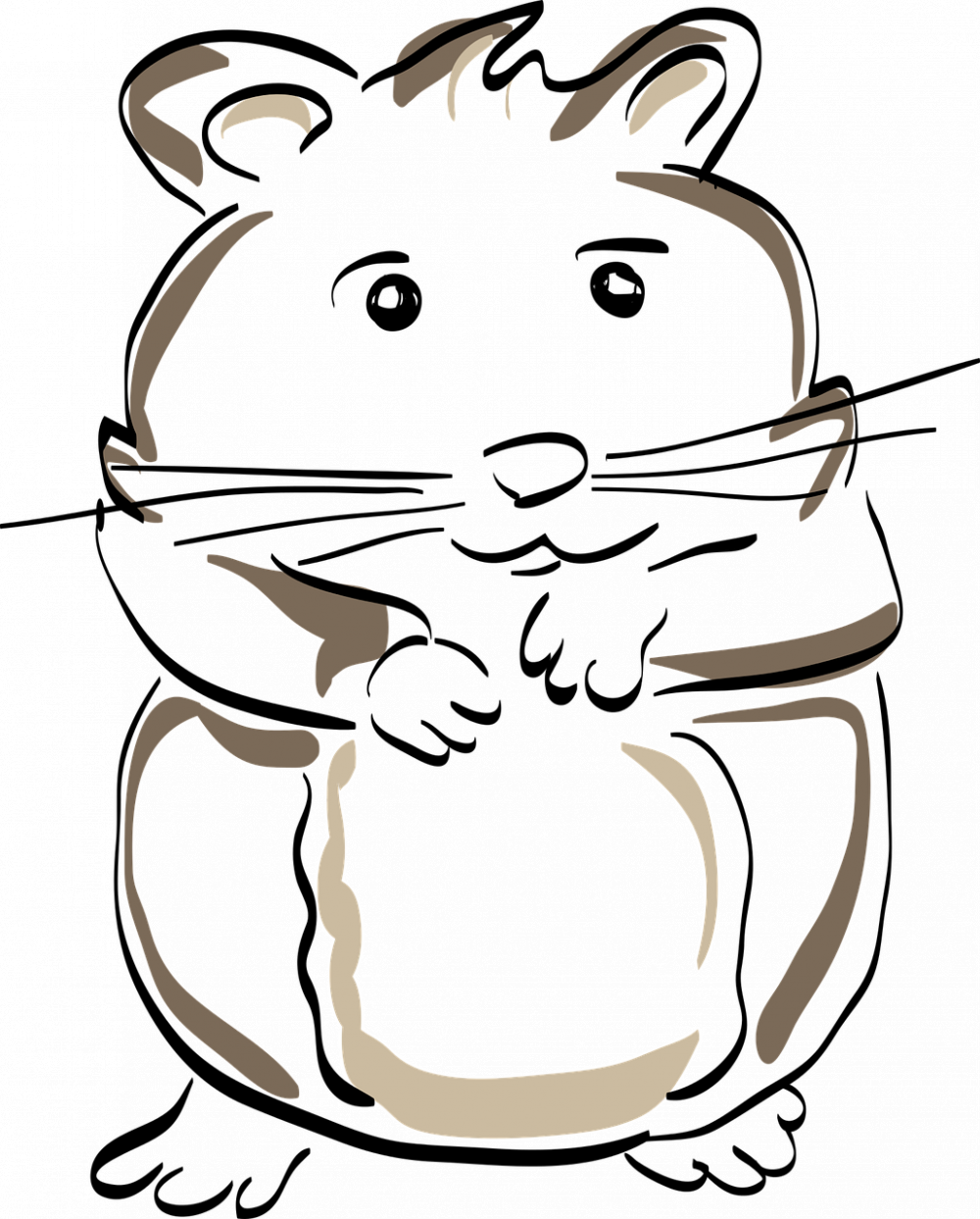 Hamster Vit: En Komplett Guide